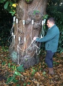 Arbotom Sonic Tomography Picus