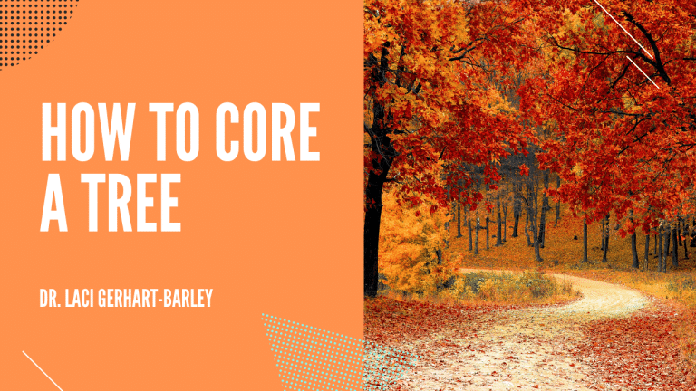 Decay Detection Testing - Arbor Cultural Tree Surveys