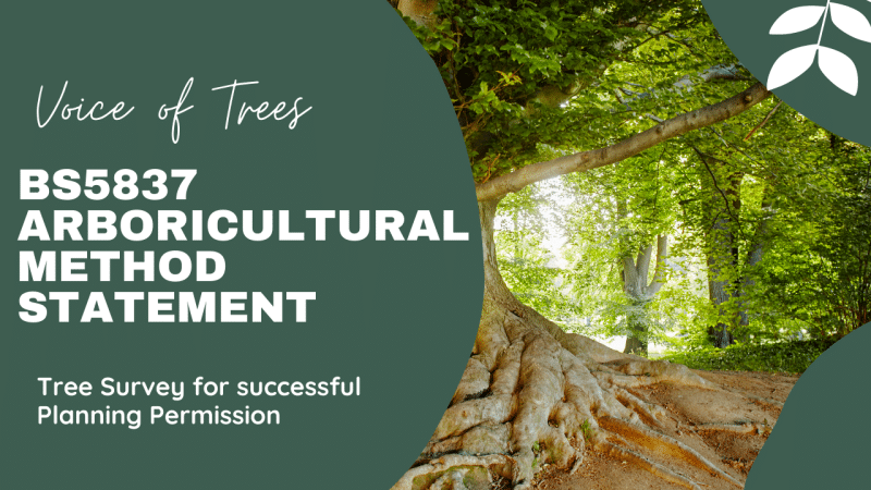 How To Get A BS 5837 arboricultural method statement